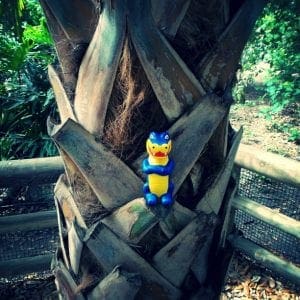 The Adventures of Snappy: Houston Zoo Edition - HostGator