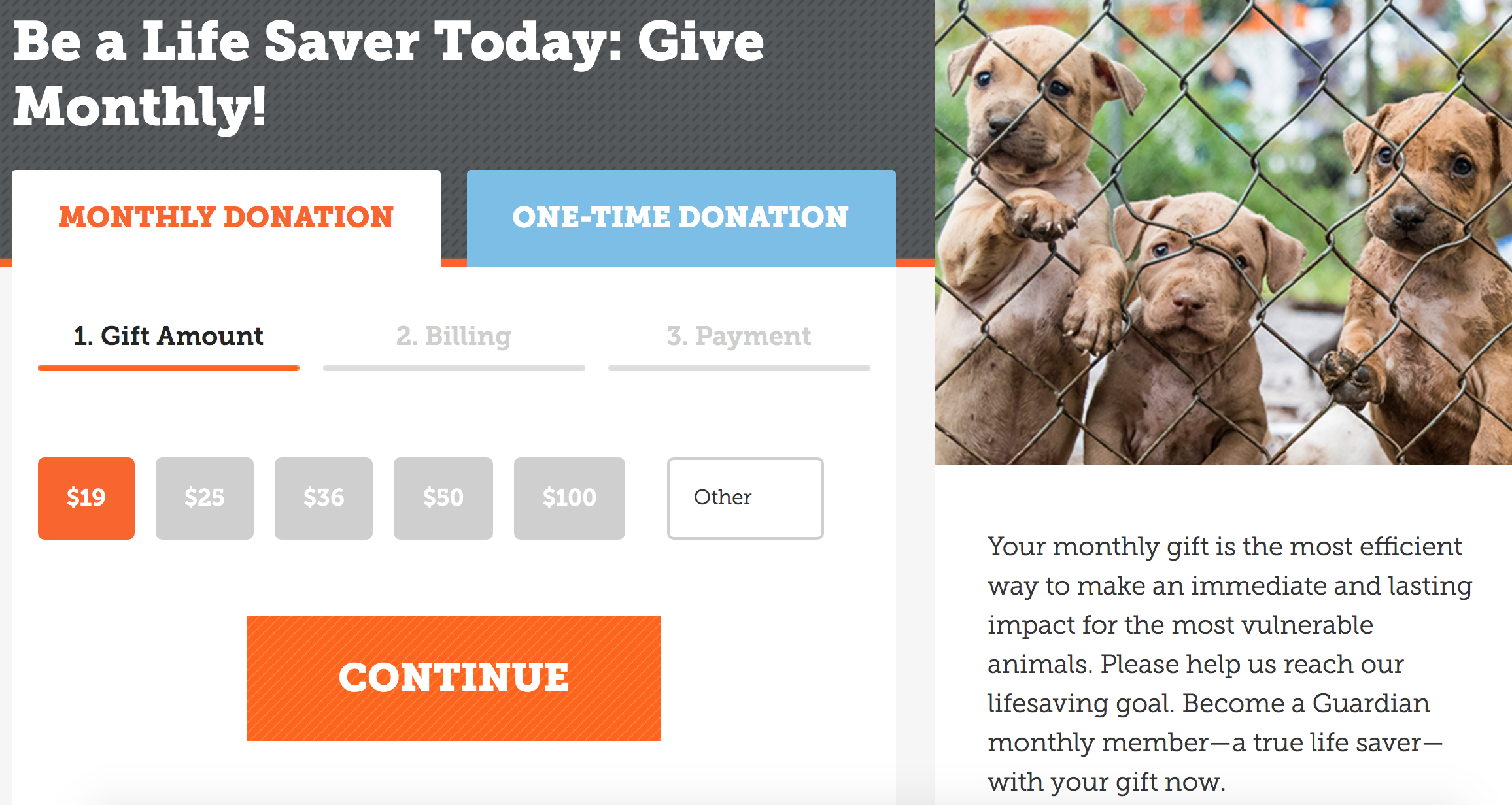 Streamline Your Online Donation Process with These 9 Steps | HostGator