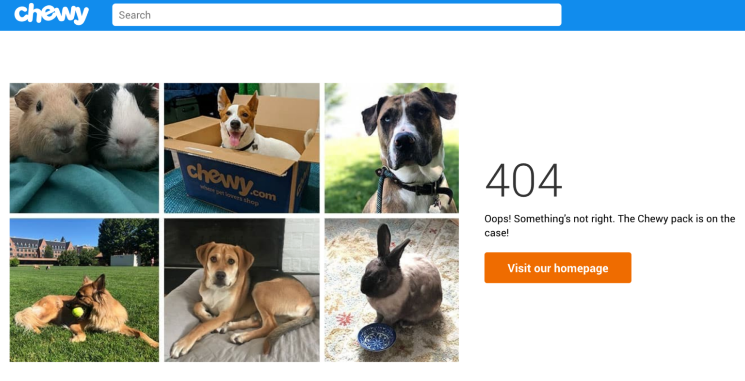 How to Find & Fix Your 404 Pages - HostGator